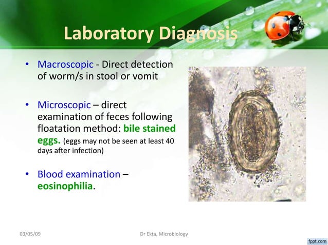 Nematodes by Dr. Rakesh Prasad Sah | PPTX