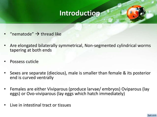 Nematodes by Dr. Rakesh Prasad Sah | PPTX