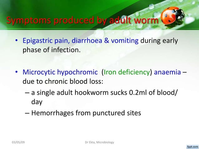 Nematodes by Dr. Rakesh Prasad Sah | PPTX