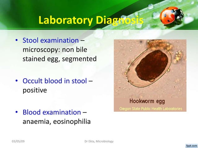 Nematodes by Dr. Rakesh Prasad Sah | PPTX