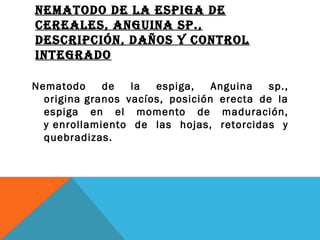Nematodos | PPT