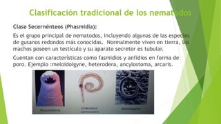 Nematodos | PPTX