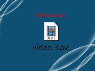 partes, instructivoNEMATODOS-APUNTES.ppt