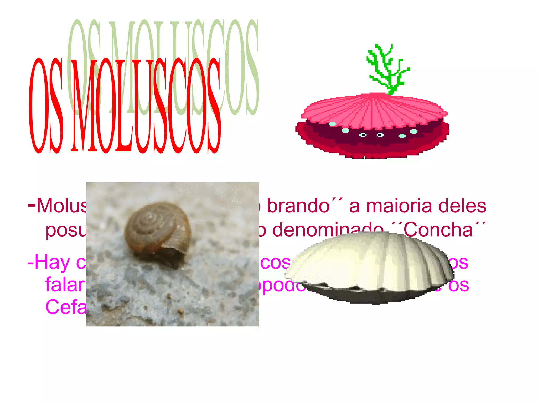 Nematodos anelidos e moluscos presentacion para ciencias de pablo,sara ...
