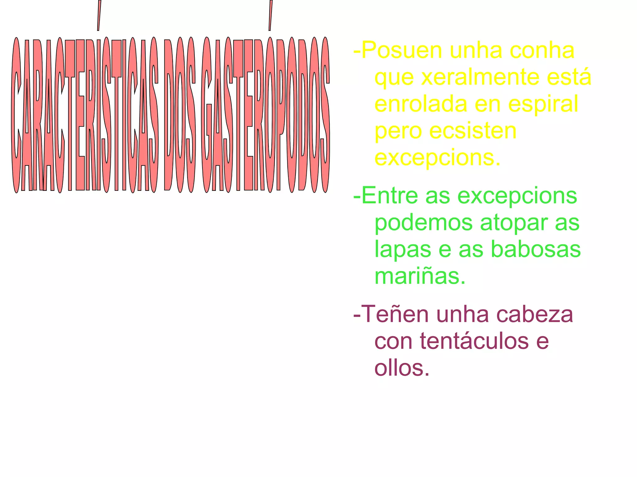 Nematodos anelidos e moluscos presentacion para ciencias de pablo,sara ...