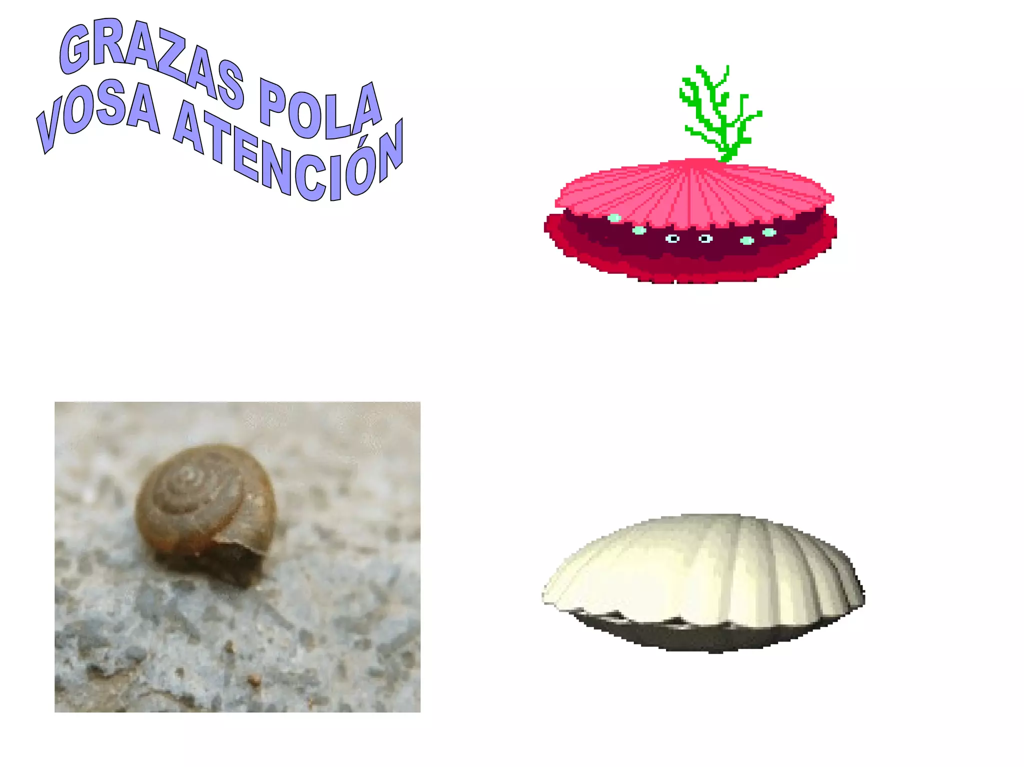 Nematodos anelidos e moluscos presentacion para ciencias de pablo,sara ...