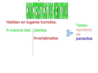 Nematodos anelidos e moluscos presentacion para ciencias de pablo,sara ...