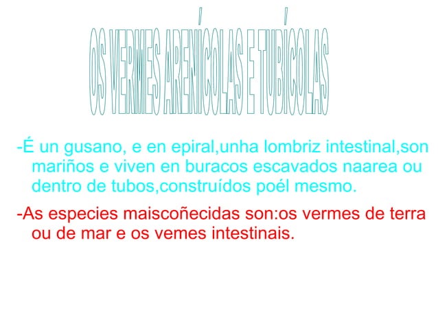 Nematodos anelidos e moluscos presentacion para ciencias de pablo,sara,diego efren,laura y jorge ...