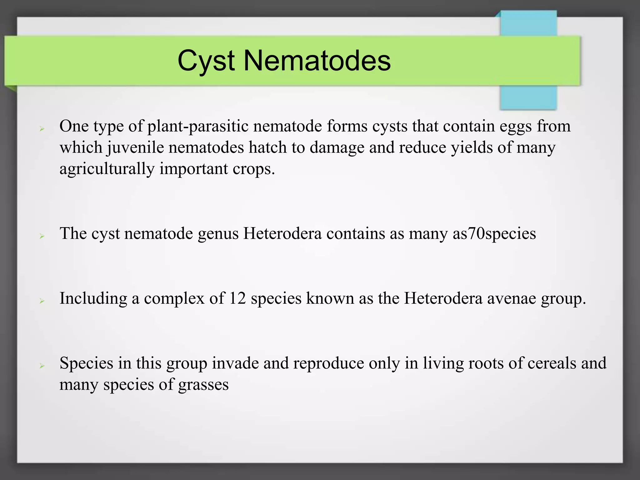 cone top structures of cyst nematodes and their identification | PPTX