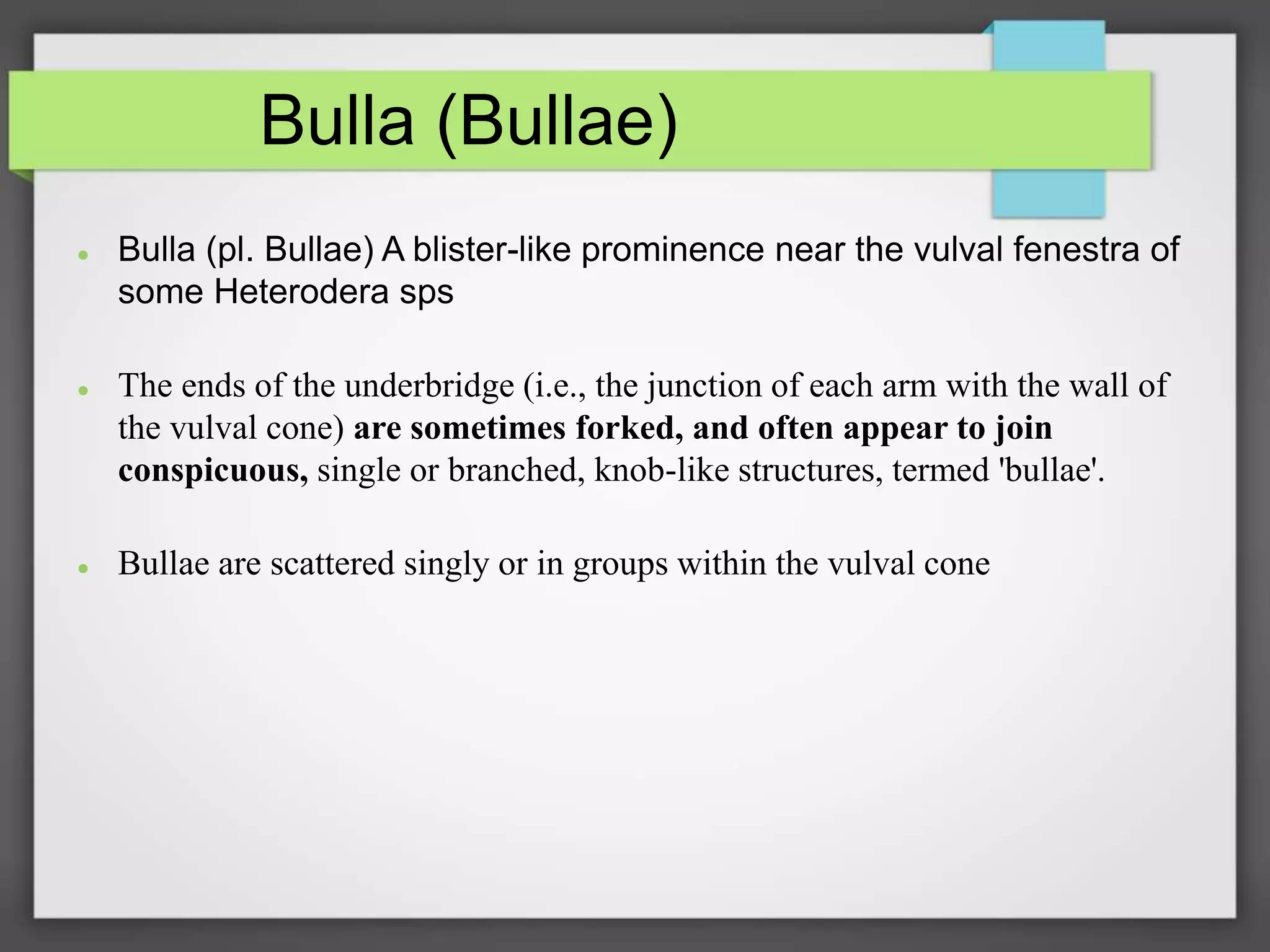 cone top structures of cyst nematodes and their identification | PPTX