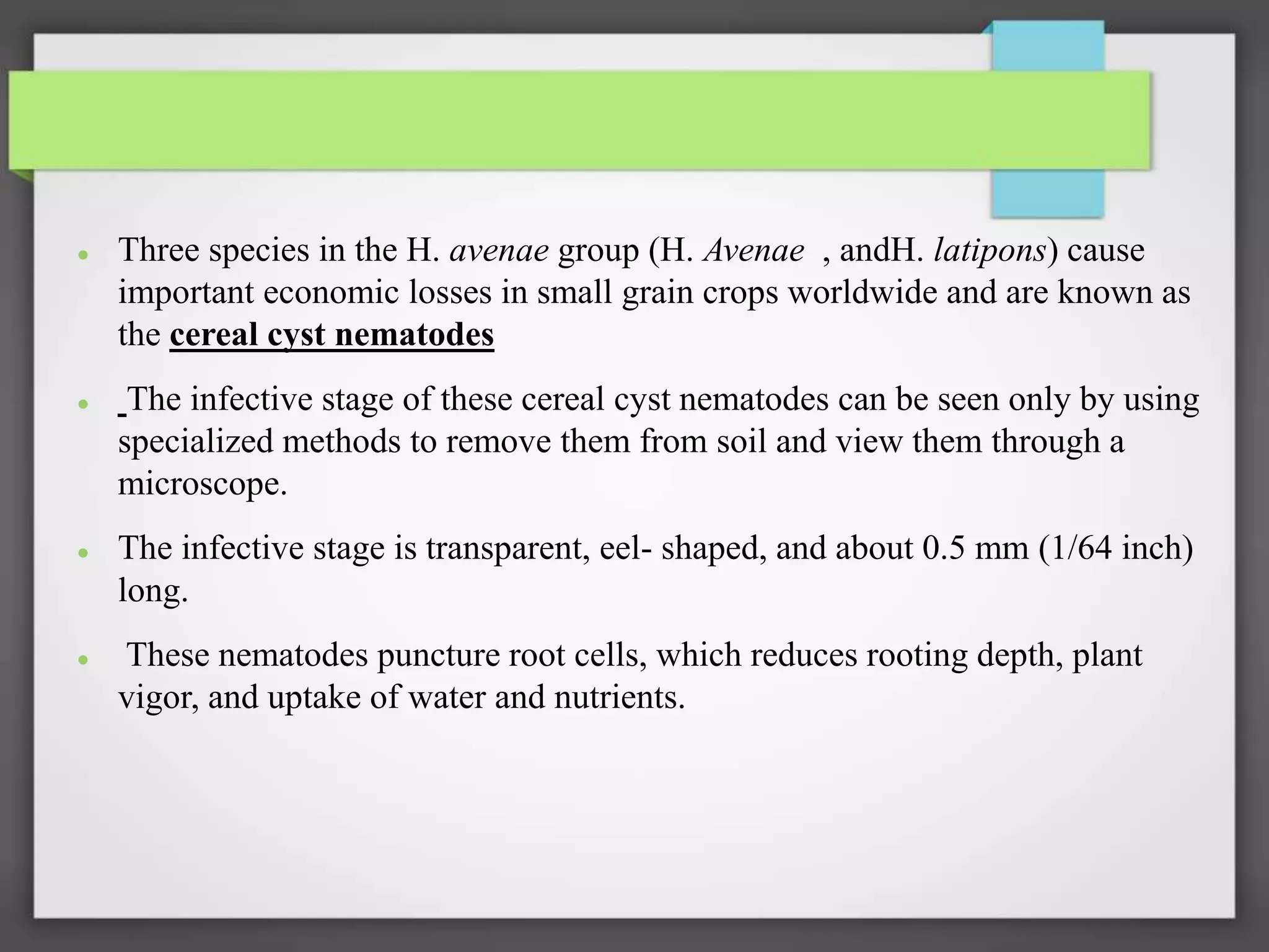 cone top structures of cyst nematodes and their identification | PPTX