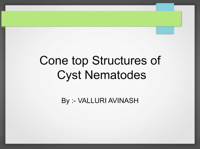 cone top structures of cyst nematodes and their identification | PPT