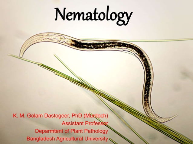 Introduction and History Nematology and Taxonomy of Plant Parasitic Nematodes.ppt | Biological ...