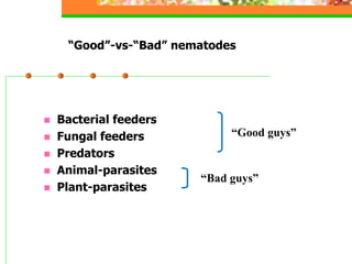 Introduction and History Nematology and Taxonomy of Plant Parasitic ...
