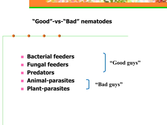 Introduction and History Nematology and Taxonomy of Plant Parasitic Nematodes.ppt | Biological ...
