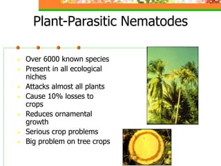 Introduction and History Nematology and Taxonomy of Plant Parasitic ...