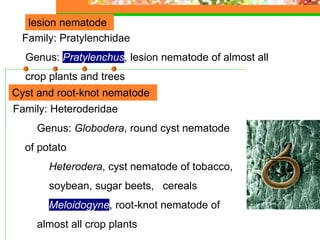 Introduction and History Nematology and Taxonomy of Plant Parasitic ...
