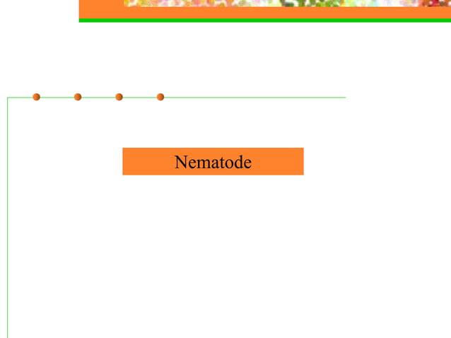 Introduction and History Nematology and Taxonomy of Plant Parasitic Nematodes.ppt | Biological ...