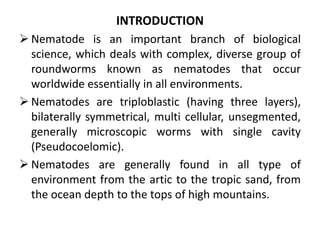 NEMATOLOGY-DEFINITION, HISTORY AND ECONOMIC IMPORTANCE.pptx