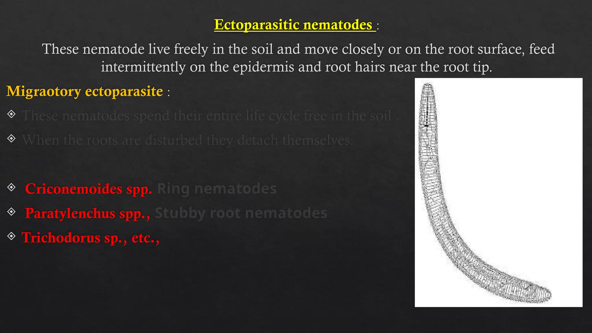 Ecological classification of nematodes and type of parasitism in ...