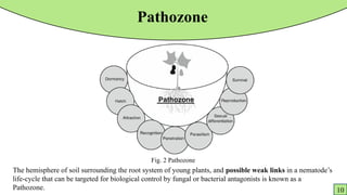 Endophytic bacteria for control of nematodes | PPTX