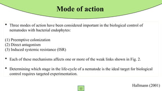 Endophytic bacteria for control of nematodes | PPTX