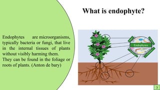 Endophytic bacteria for control of nematodes | PPTX