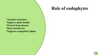 Endophytic bacteria for control of nematodes | PPTX