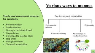 Endophytic bacteria for control of nematodes | PPTX