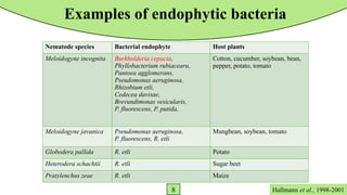 Endophytic bacteria for control of nematodes | PPTX