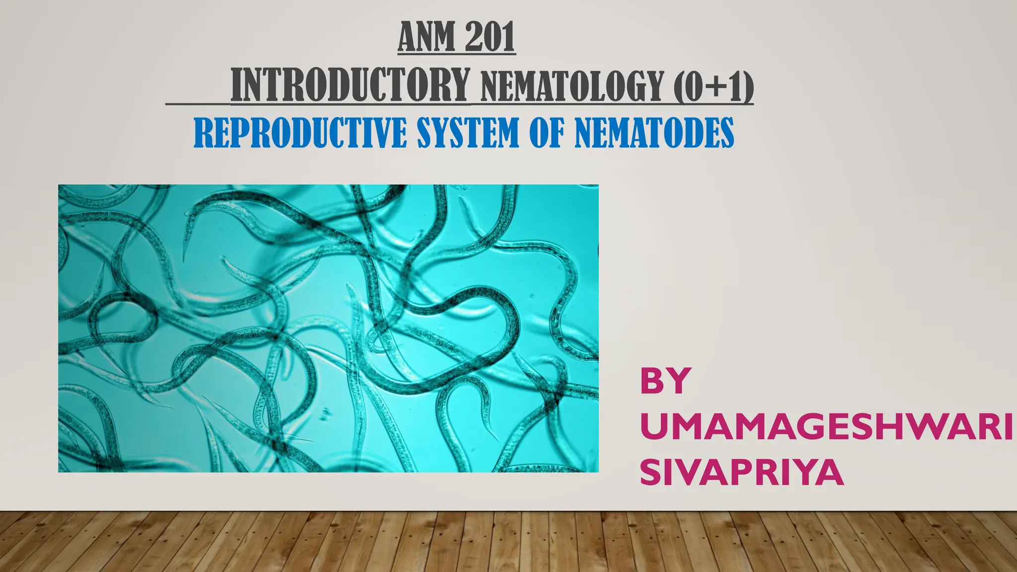 Nematology ppt-1.pptx reproductive system of nematodes | PPTX
