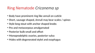 Nematology Taxonomy and their different groups | PPTX