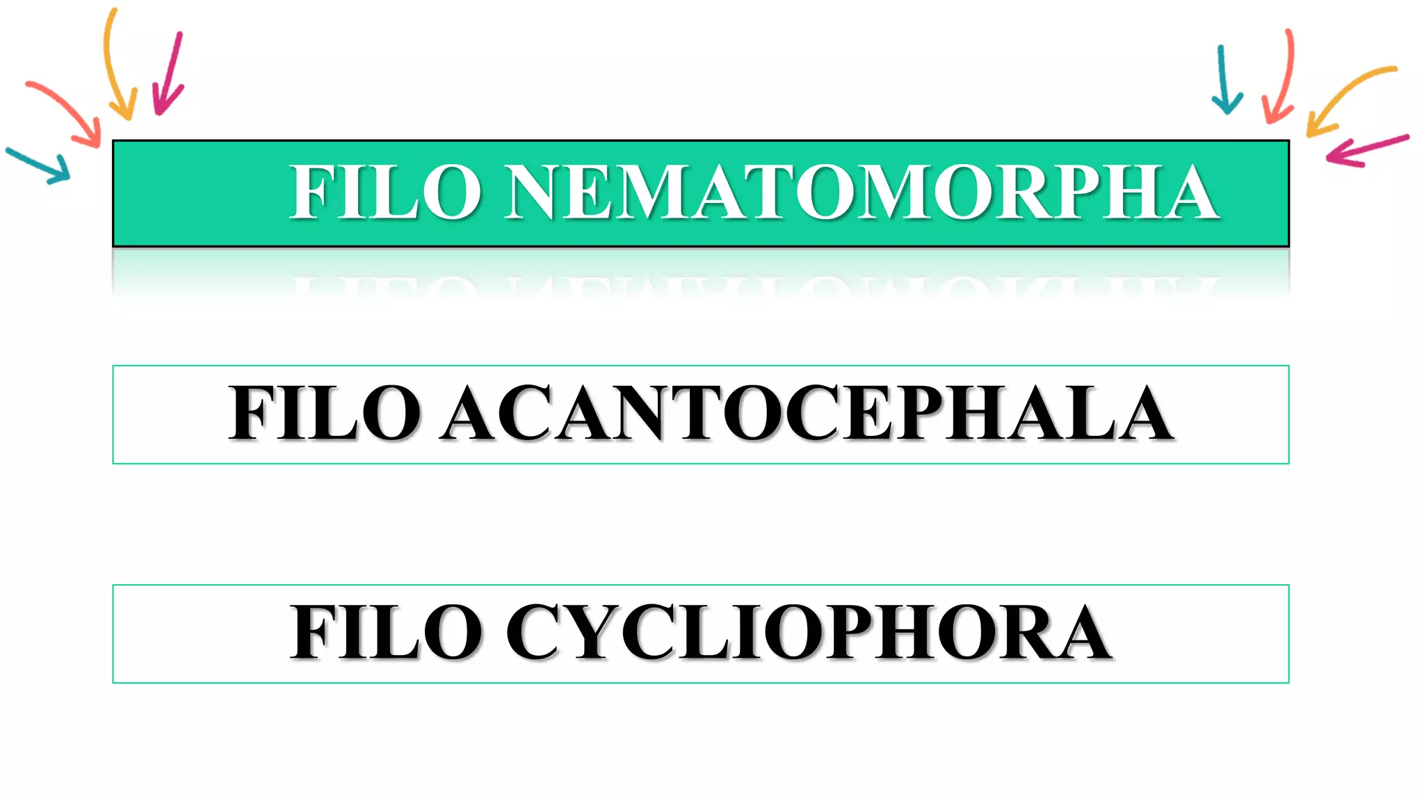 Nematomorpha, Acantocephala e Cycliophora.pptx