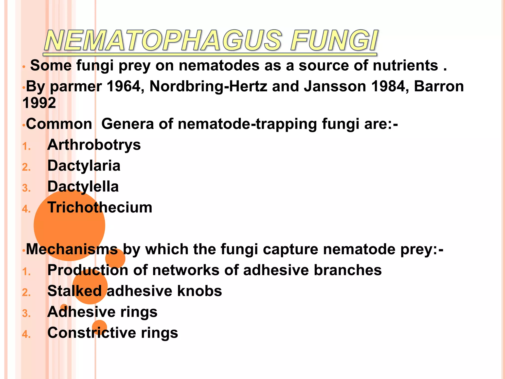 Nematophagus fungi | PPTX