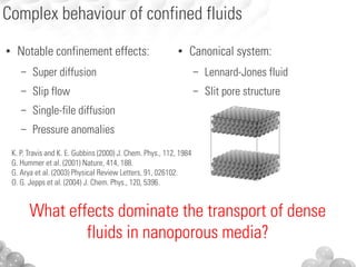 RSC-CCP5 Workshop: Transport diffusion of confined fluids from ...