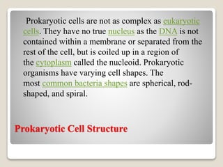 prokaryotic cell | PPTX