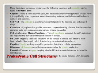 prokaryotic cell | PPT