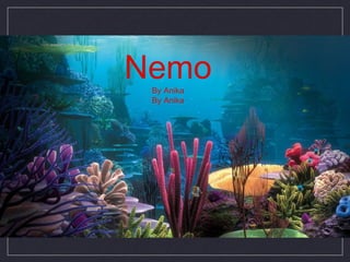 Nemo | PPT