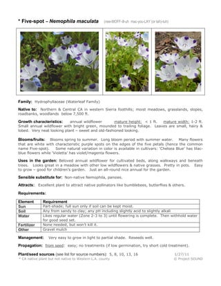 Nemophila maculata | PDF