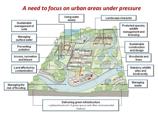 Nene Integrated Catchment Management Plan Presentation from London Ca…