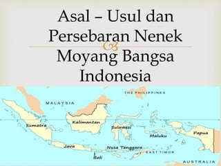 Nenek moyang bangsa indonesia by :ufi | PPTX