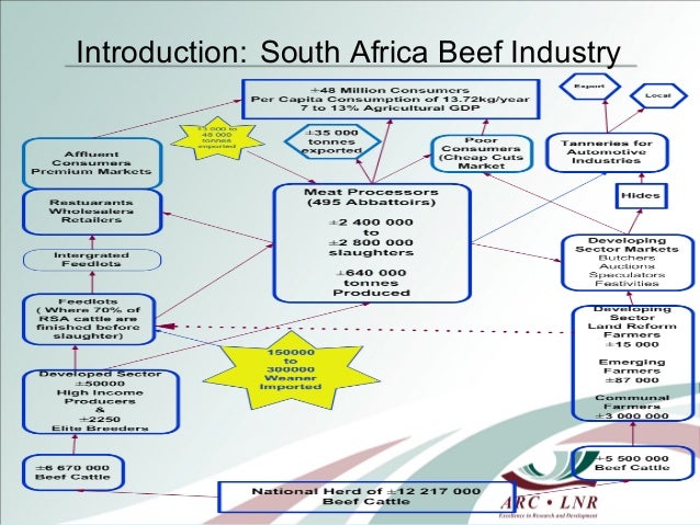 Elements to consider for proper support of low-income beef farmers t…