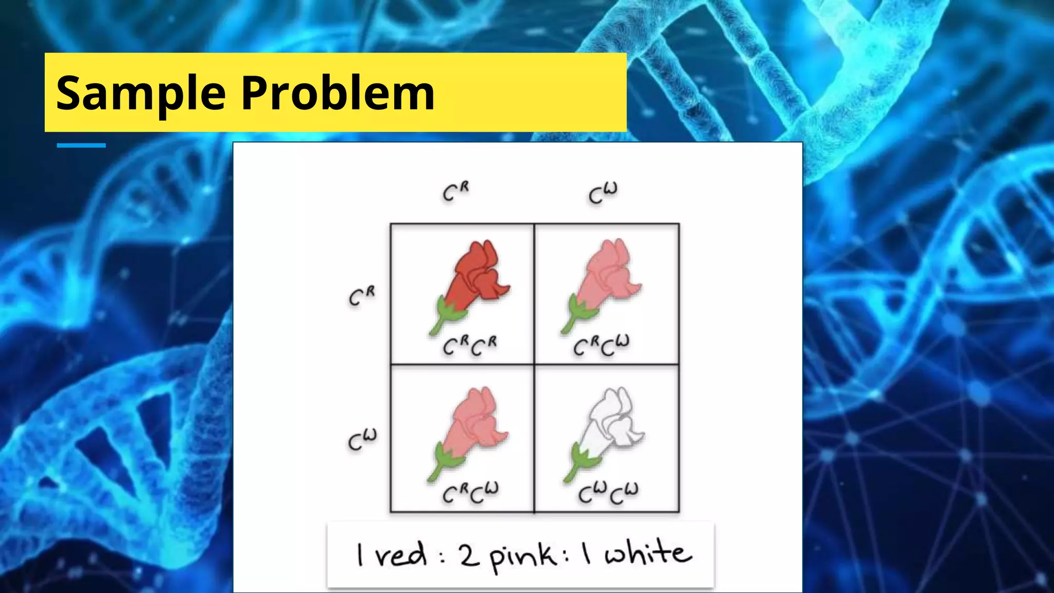 Neo-Mendelian Inheritance.pptx