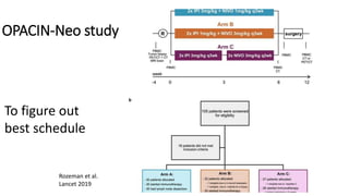 Neoadjuvant or adjuvant immunotherapy in melanoma stage iii | PPTX