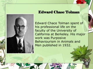 Neo Behaviorism Tolman and Bandura.pPptx | PPTX