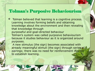 Neo Behaviorism Tolman and Bandura.pPptx | PPTX