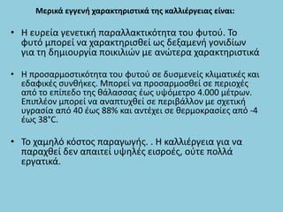 Κινόα | PPT