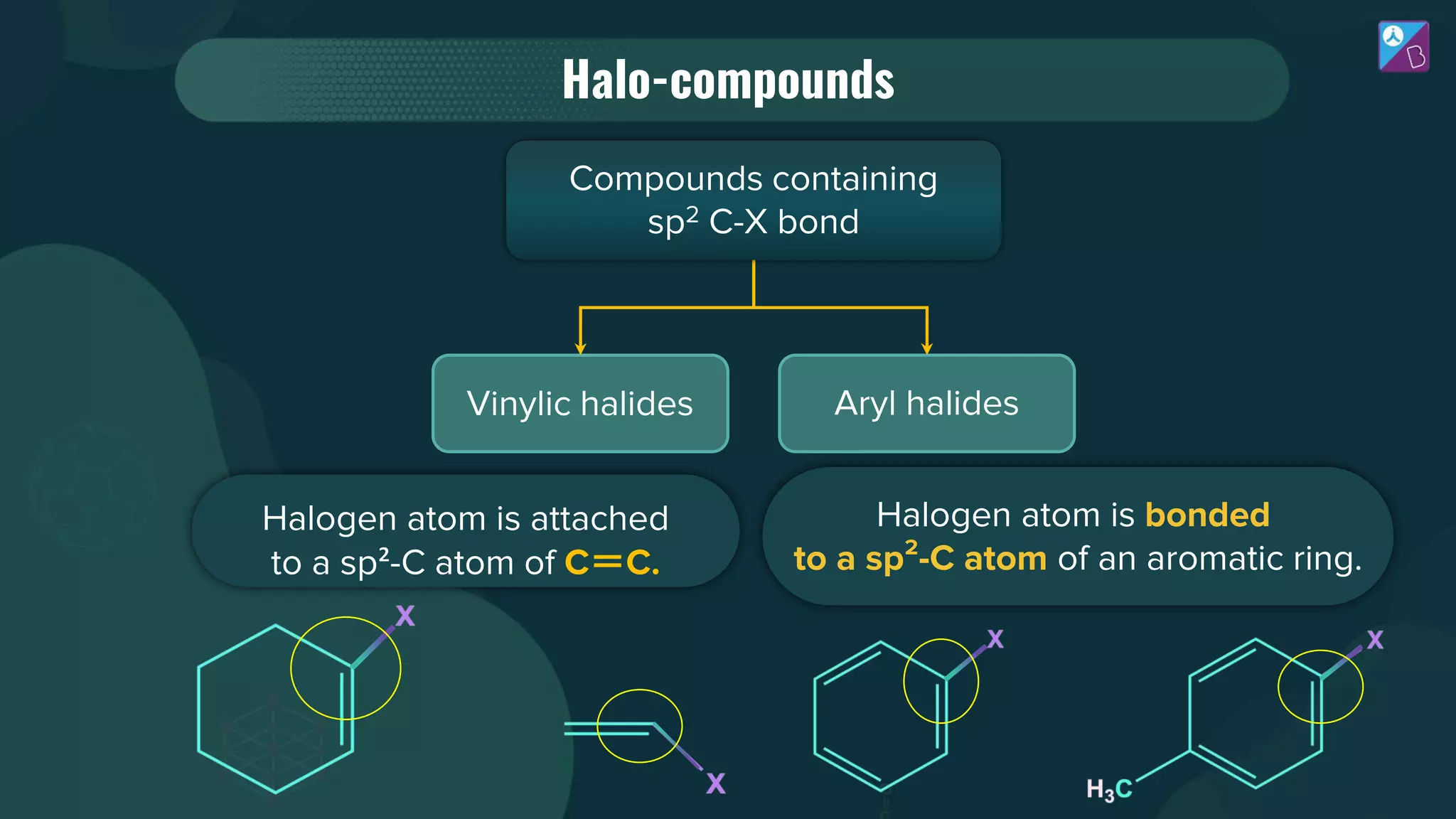 NEO_JEE_12_P1_CHE_H_Haloalkanes and Haloarenes_5_208.pdf