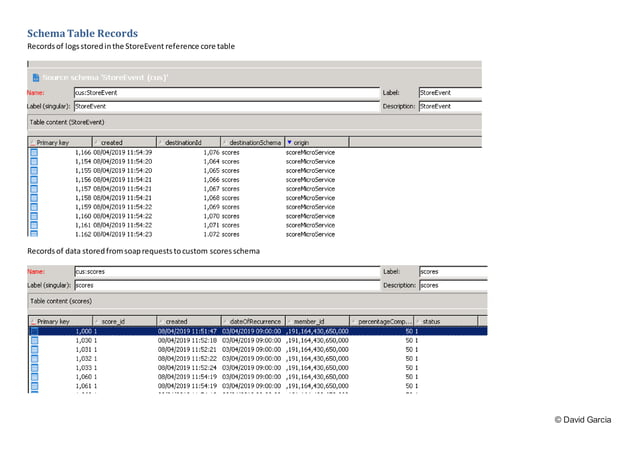 Neolane API Custom SOAP request handler | PPT