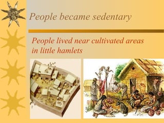 Neolithic | PPT | Agriculture | Industries
